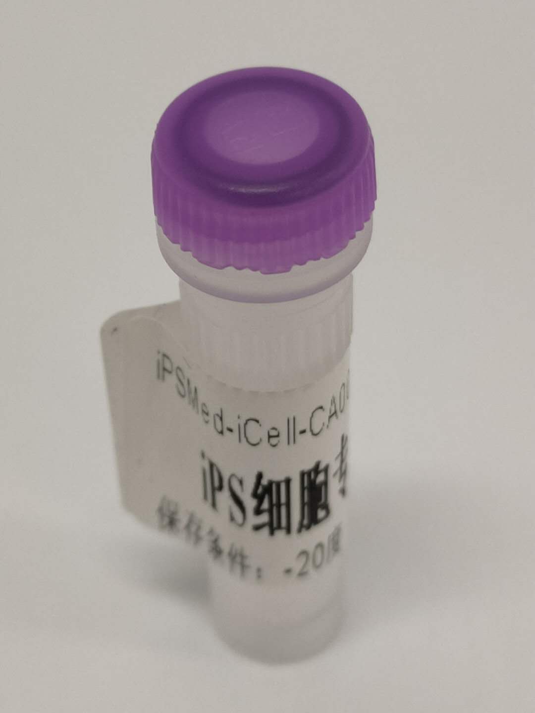 iPS Y27632-原代细胞-STR细胞-细胞培养基-镜像绮点生物