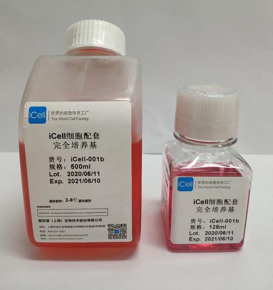 HL-1 细胞专用培养基-原代细胞-STR细胞-细胞培养基-镜像绮点生物