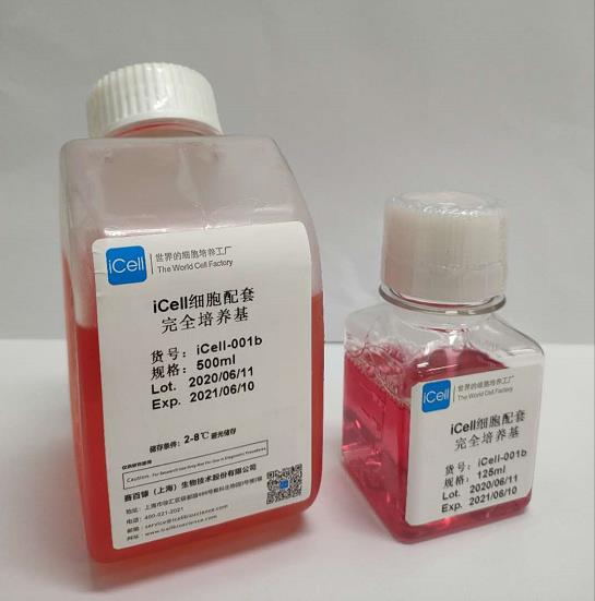 RWPE-1 细胞专用培养基-原代细胞-STR细胞-细胞培养基-镜像绮点生物