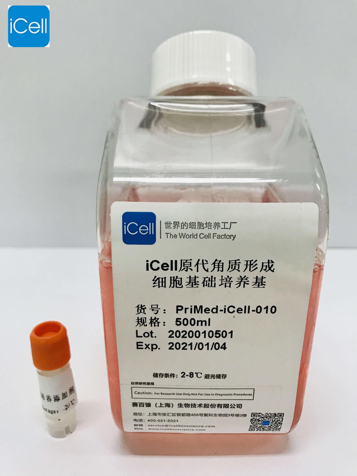 iCell原代角质形成细胞培养体系-原代细胞-STR细胞-细胞培养基-镜像绮点生物