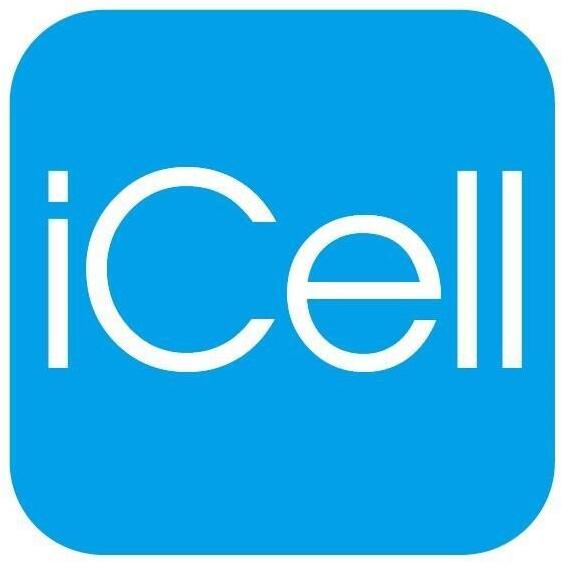 IM-95M 人胃腺癌细胞-原代细胞-STR细胞-细胞培养基-镜像绮点生物