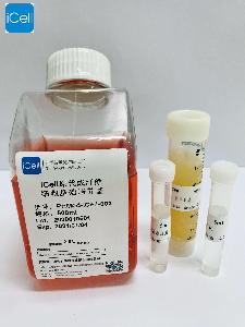 iCell原代成纤维细胞培养体系-原代细胞-STR细胞-细胞培养基-镜像绮点生物