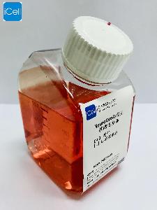 NeuroGro 神经元培养基-原代细胞-STR细胞-细胞培养基-镜像绮点生物