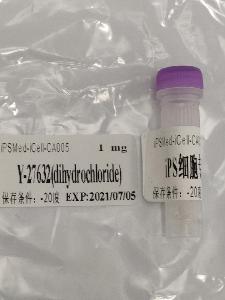 iPS Y27632-原代细胞-STR细胞-细胞培养基-镜像绮点生物