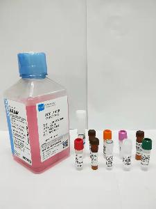 HET-1A 细胞专用培养基-原代细胞-STR细胞-细胞培养基-镜像绮点生物