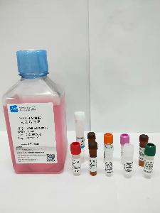 HET-1A 细胞专用培养基-原代细胞-STR细胞-细胞培养基-镜像绮点生物