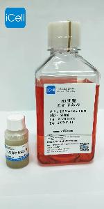 H1 细胞完全培养基-原代细胞-STR细胞-细胞培养基-镜像绮点生物